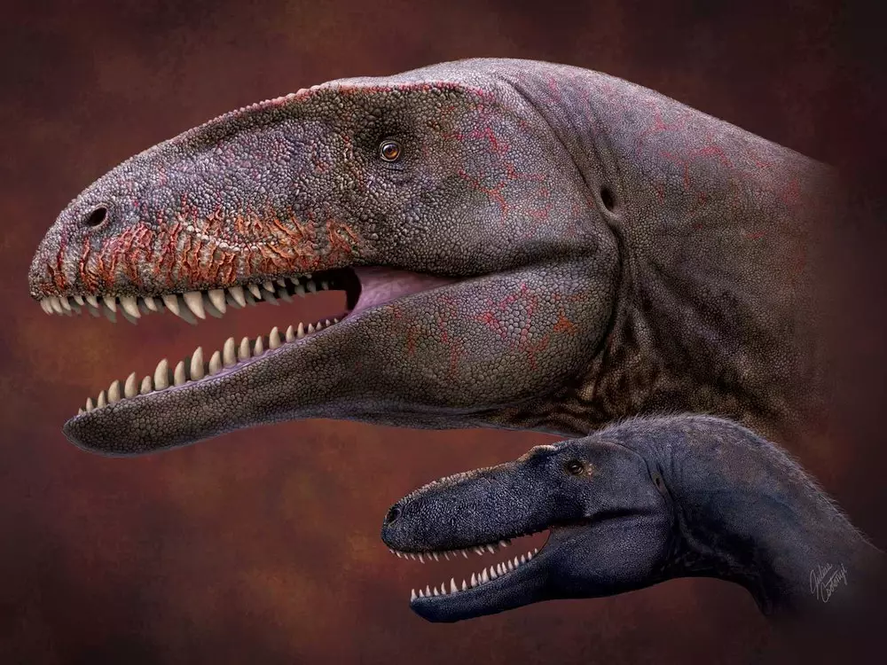 I-Dinosaur Entsha, Enkulu Edla Edlayo Yayiyingozi KumaTyrannosaurs Amancane