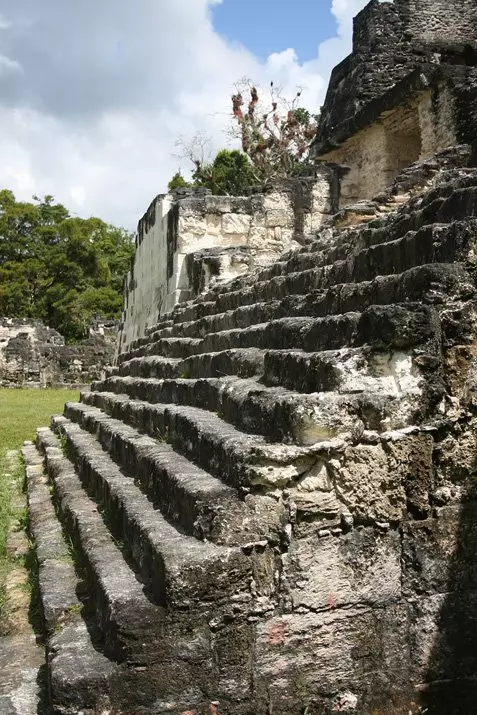 Misteri Tikal 19193_3