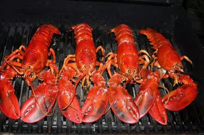 20110520090133grilled-maine-lobster_Dana-Moos_3280741129_3c7a451c4c-400x266.jpg