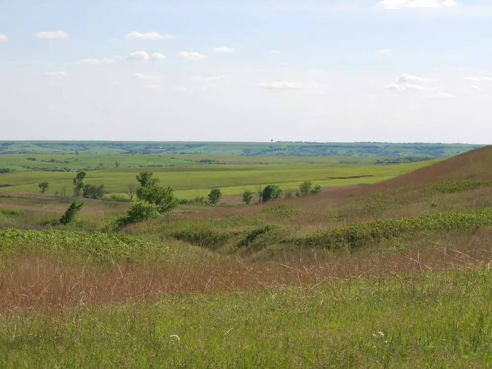 A linda pradaria de grama alta em Flint Hills do Kansas. O Flint Hills contém a maior parte da pradaria de grama alta remanescente nos Estados Unidos, graças ao seu solo rochoso que impedia os agricultores de lavrá-lo para cultivar os solos férteis. (Crédito: Kim La Pierre)