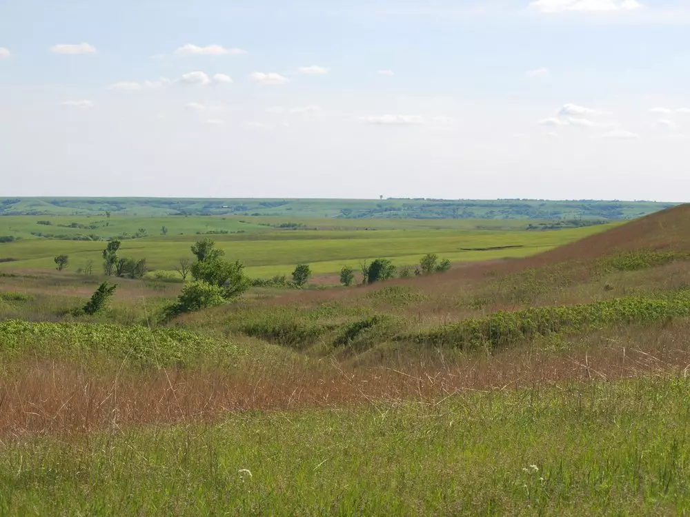 Nuostabiai graži aukštų žolių prerija Kanzaso Flinto kalvose. Flinto kalvose yra didžioji dalis likusių aukštaūgių prerijų Jungtinėse Valstijose, nes jos uolėtas dirvožemis neleido ūkininkams arti jo, kad galėtų dirbti derlingose dirvose. (Kreditas: Kim La Pierre)