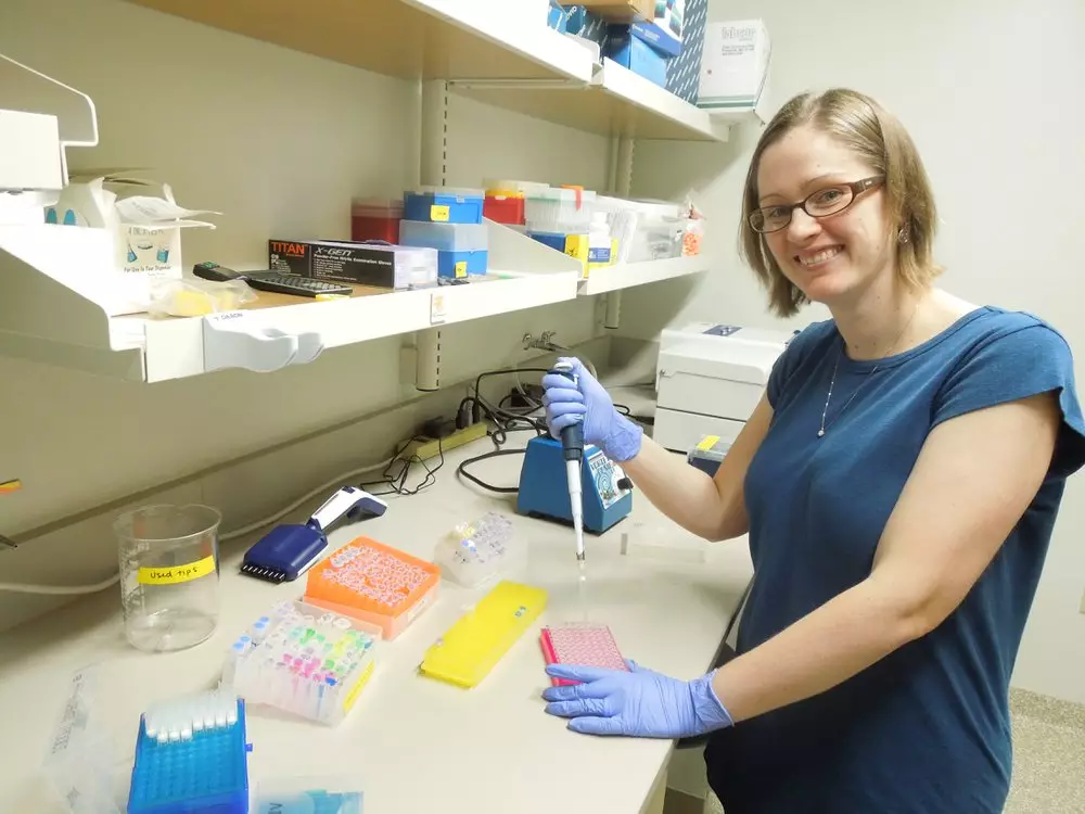 Katrina Lohan analizuoja parazitų DNR SERC ekologinės genomikos branduolyje. Rezultatai padeda aptikti parazitus, užkrečiančius austres arba slypinčius didelių laivų balastiniame vandenyje. (Kreditas: Kristen Minogue / SERC)