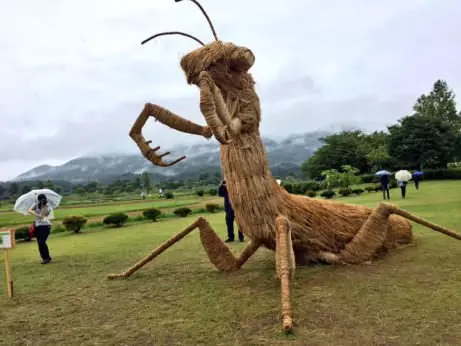 看看日本本州島上的這些巨大的稻草藝術雕塑 19305_5