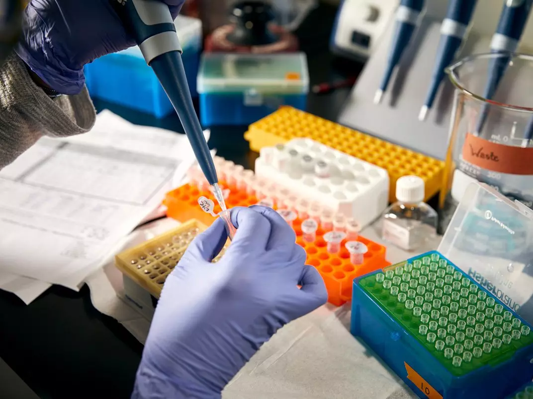 Các nhà nghiên cứu tại Penn State kiểm tra DNA của đèn lồng