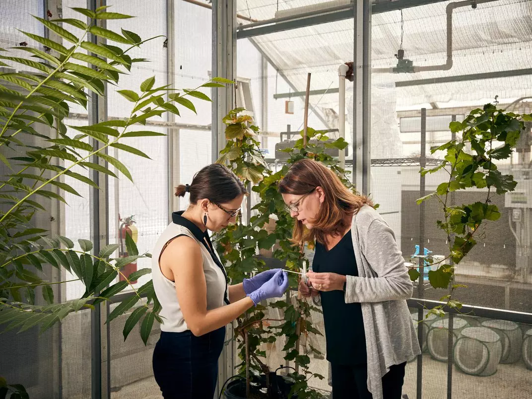 Postgraduální studentka Erica Smyers a evoluční bioložka Julie Urbanová