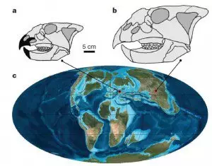 Ceratopsians Ҷазира-Хоп онро ба Аврупо