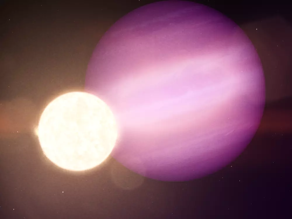 Ілюстрація гігантської фіолетової планети з блідими смугами за маленькою білою зіркою, сяюча куля гарячого газу, яка на цій ілюстрації становить приблизно 1/7 розміру планети