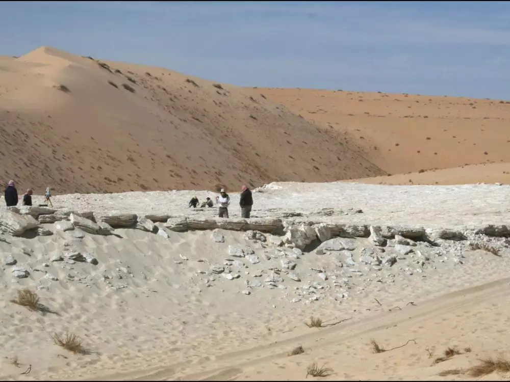 Saūda Arābijā atrastām cilvēka pēdām var būt 120 000 gadu