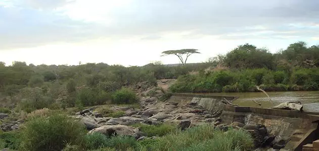 Hari 1: Melihat Kenya dari Langit