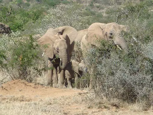 Dag 1: Kenia vum Himmel gesinn 19490_14