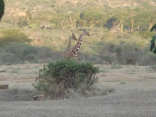 Dag 1: Kenia vum Himmel gesinn 19490_16