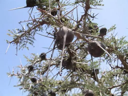 Tag 1: Kenia vom Himmel aus sehen 19490_17