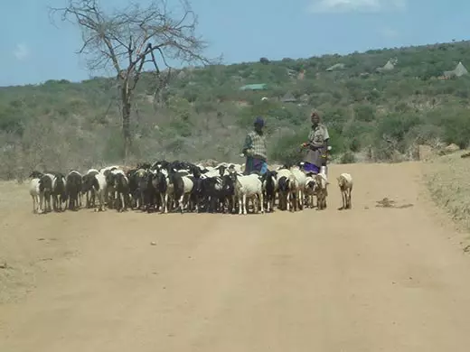 Dag 1: Kenia vum Himmel gesinn 19490_19