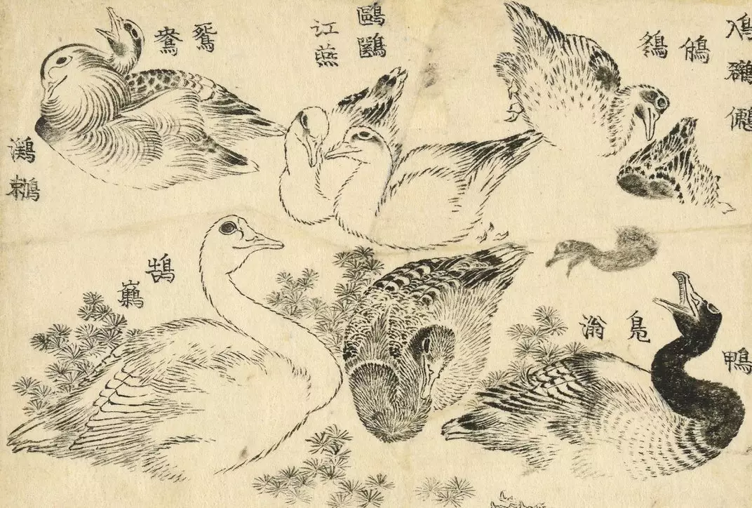 Ara podeu explorar 103 dibuixos de Hokusai 