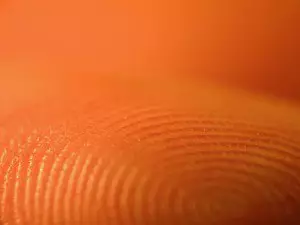 20110520104112fingerprint-300x225.jpg