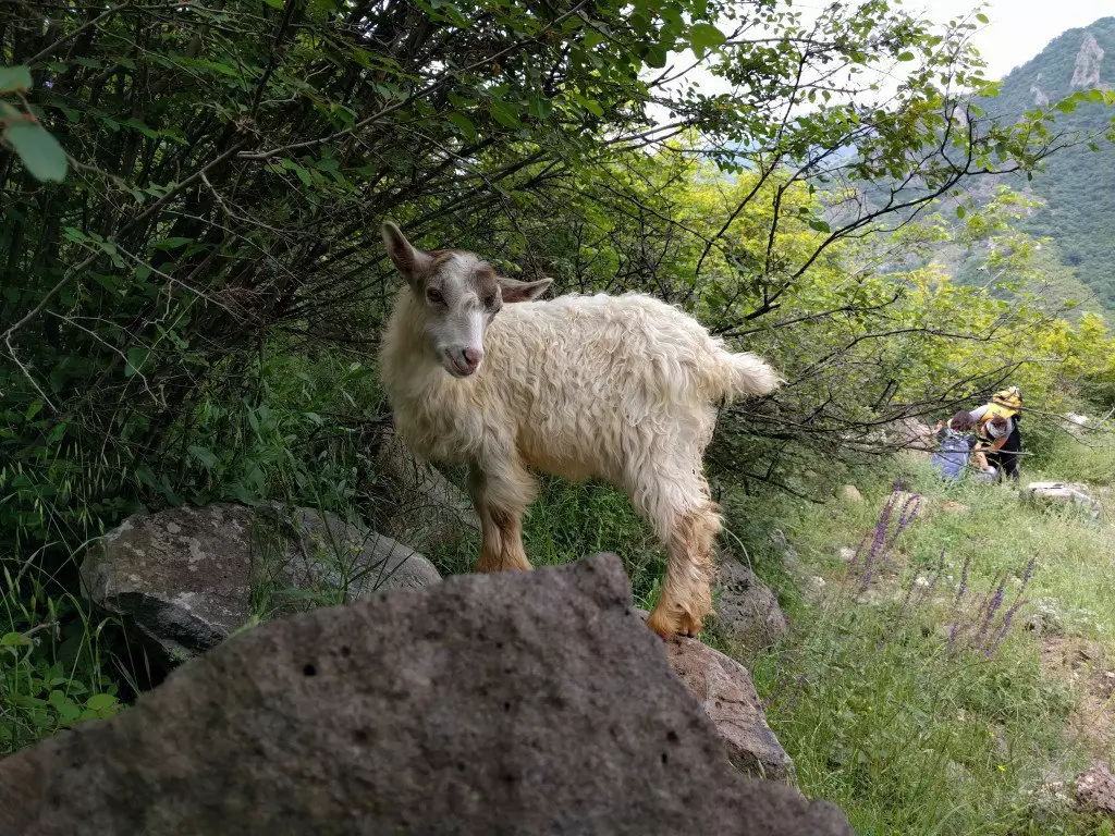 Escursione in Armenia