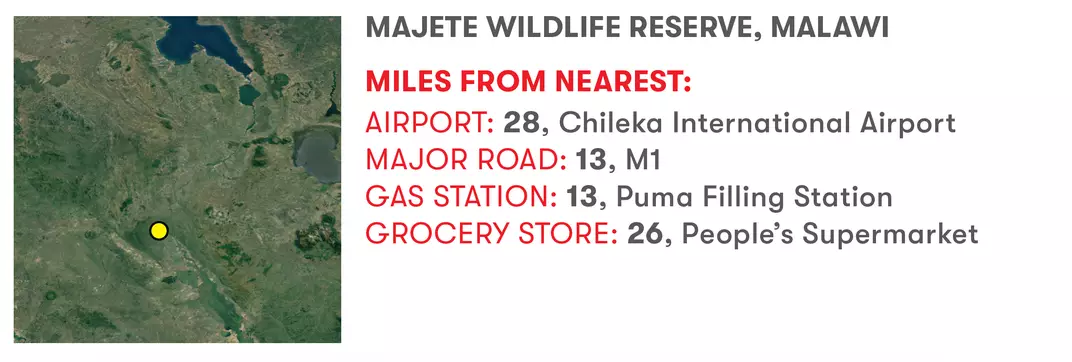 Резерватот за диви животни Majete, Малави. Милји од најблиската: аеродром: 28, меѓународен аеродром Чилека. Главниот пат: 13, М1. Бензинска пумпа: 13, Пума Пума. Бакалница: 26, Народен супермаркет.
