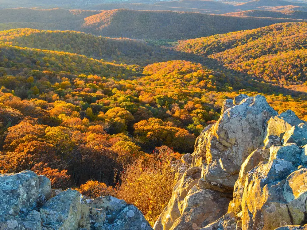 Вісім місць, де можна побачити дивовижне осіннє листя за межами Нової Англії
