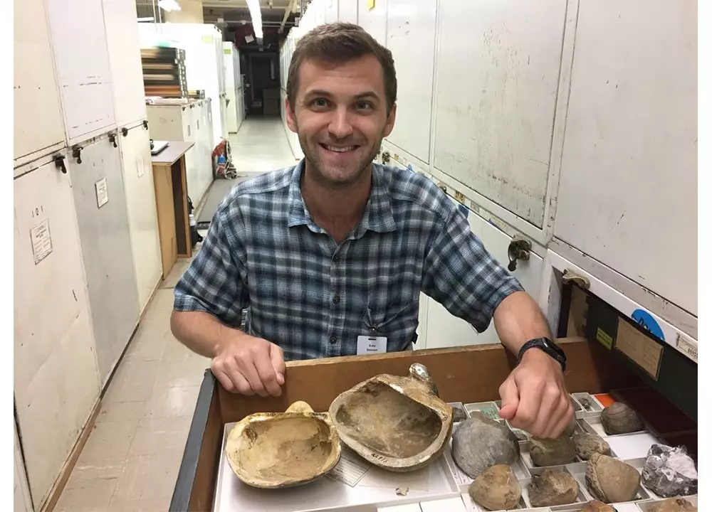 Най-новият уредник на Националния природонаучен музей в отдела за палеобиология, д-р Стюарт Еди, отваря чекмедже с вкаменелости от мекотели в колекцията на безгръбначните палеобиология на музея. (Кейти Колинс, Национален исторически музей, Лондон)