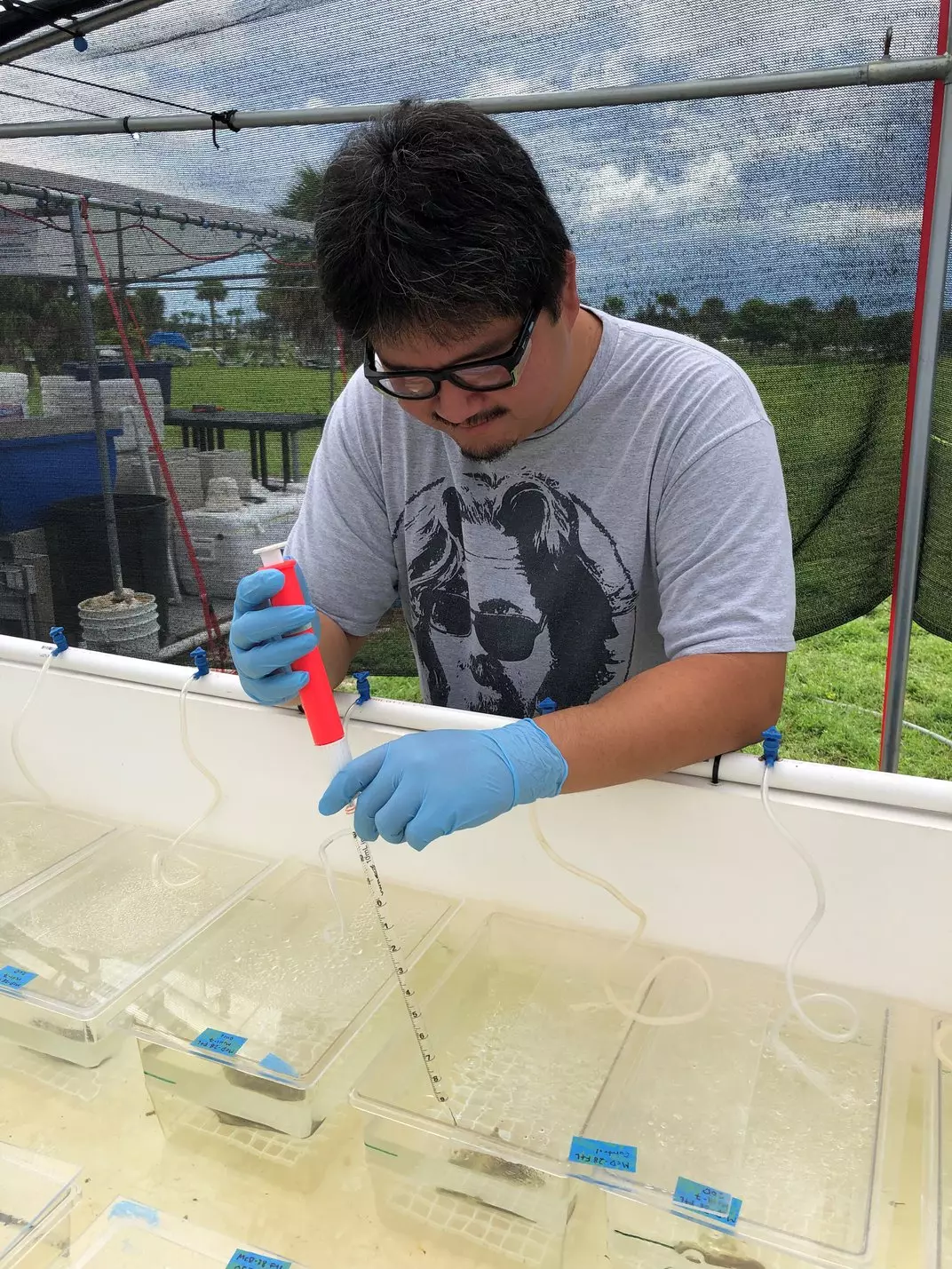 Científico usando una pipeta en un laboratorio al aire libre.