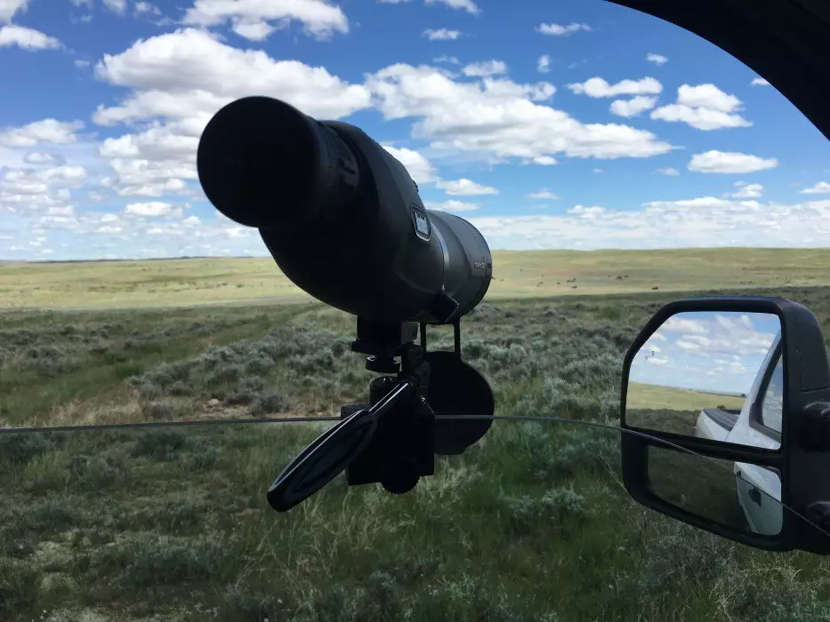 'n Spotskop wat aan 'n gedeeltelik afgerolde motorvenster geheg is, kyk uit oor Amerikaanse Prairie Reserve-grasvelde in Montana.