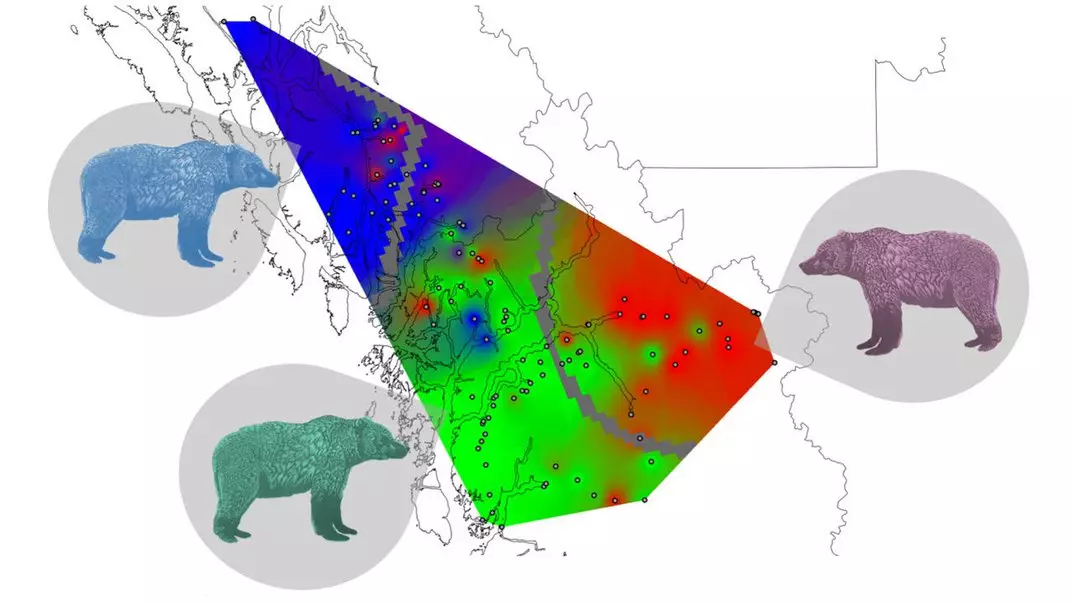 Mapa del territorio de los osos y los idiomas de las Primeras Naciones