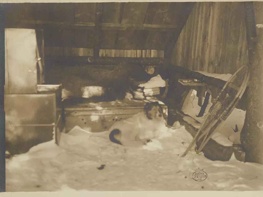 Абот Тајер во неговата колиба за спиење со своето куче Хаускулд, околу 1903 година / неидентификуван фотограф. Нелсон и Хенри К. Вајт истражувачки материјал, Архива на американската уметност, институција Смитсонијан.