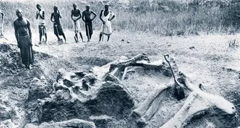 Τα οστά του Giraffatitan όπως ανακαλύφθηκαν στην Τανζανία.