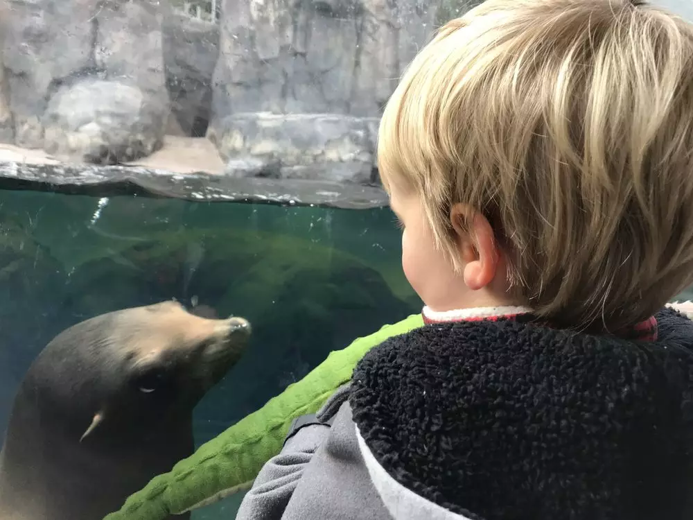 Loomade empaatia kasutamine väikelaste kaasamiseks algkoolitusse