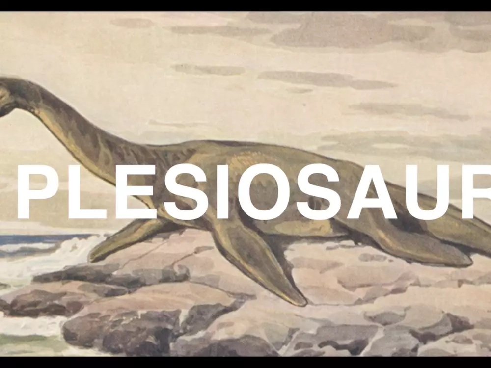 Ήταν το τέρας του Λοχ Νες Πλησιόσαυρος; Ο παλαιοντολόγος Smithsonian, Hans Sues, απαντά στις ερωτήσεις σας στη σειρά του Εθνικού Μουσείου Φυσικής Ιστορίας στο YouTube, «The Doctor Is In». (Ίδρυμα Σμιθσόνιαν)