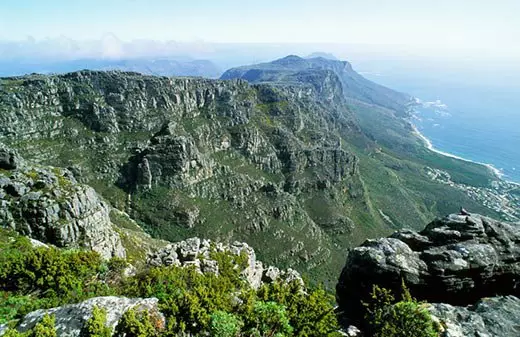 Merrni në Afrikën e Jugut nga Parku Kombëtar Table Mountain 20427_6