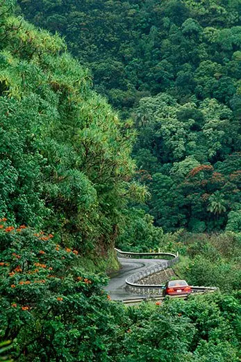 Drive the Road to Hana 20460_2