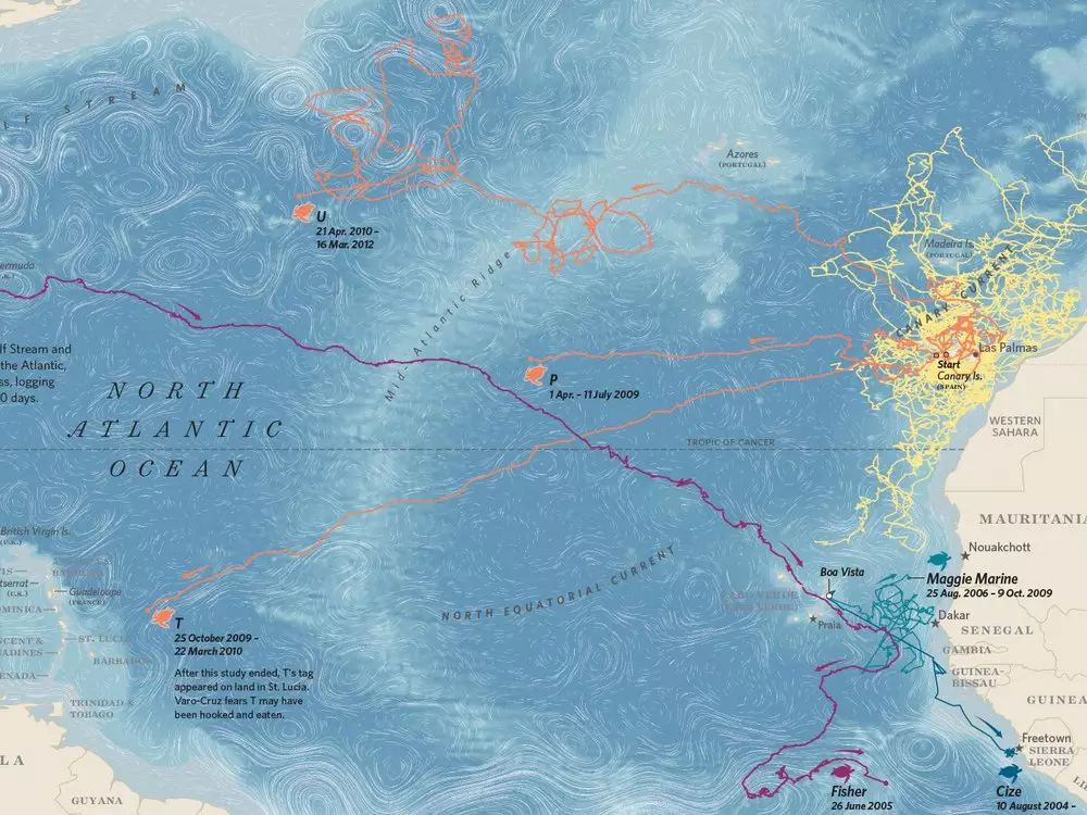 Prozkoumejte tajné životy zvířat s těmito úžasnými mapami