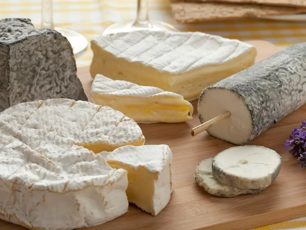 Ką smirdantis sūris mums pasakoja apie pasibjaurėjimo mokslą