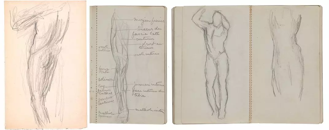 Anatomical sketches ni Gertrude Vanderbilt Whitney