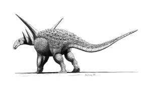 የ Ankylosaur Armorን በቅርበት ይመልከቱ