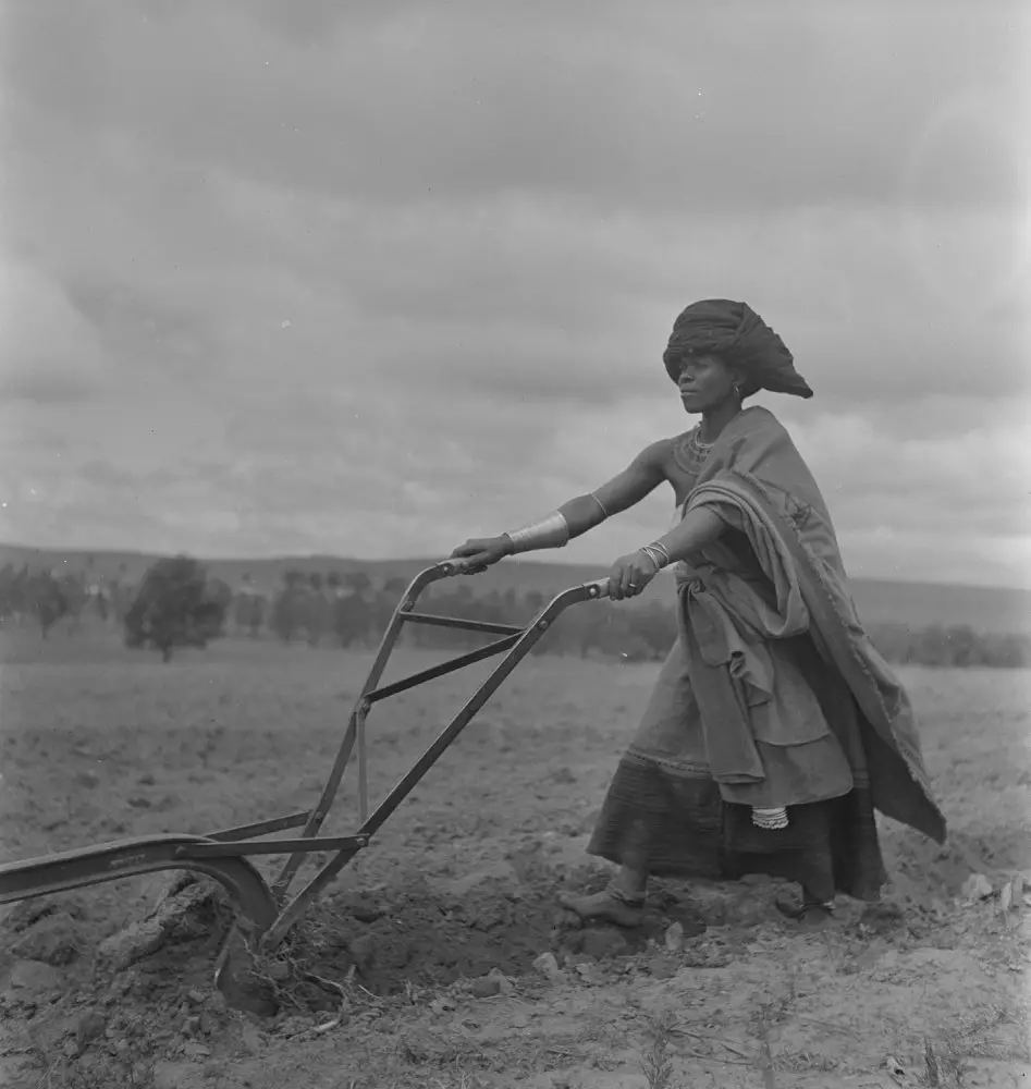 Xhosa ženska oranje, Transkei, Južna Afrika