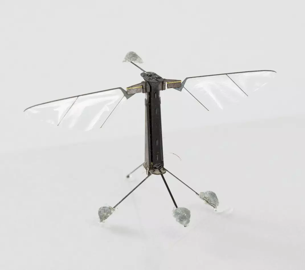 Robobee