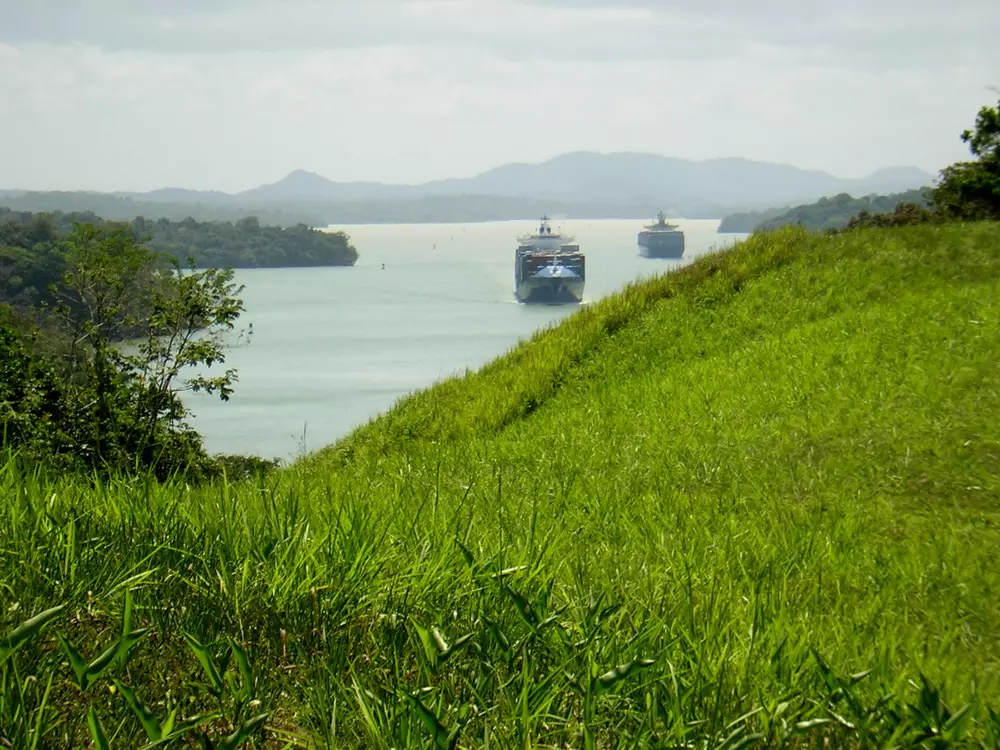 Molti uccelli terrestri sono scomparsi nell'isola di Barro Colorado, nel Canale di Panama, nonostante la loro abbondanza nelle foreste adiacenti della terraferma, perché non potevano attraversare il lago Gatun per mantenere le popolazioni dell'isola. (Ghislain Rompre)