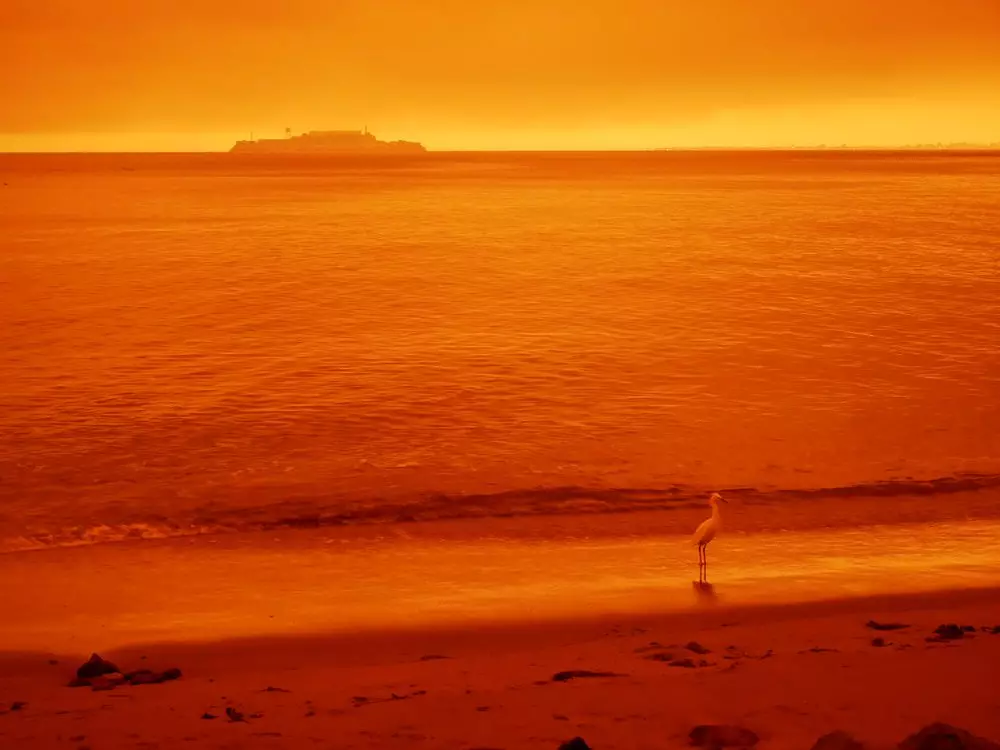 Kinukuha ng Mga Larawan ang Nakakatakot na Langit na Nagbabalot sa Bay Area sa Orange Glow