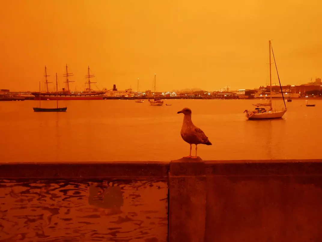 Сан-Францискодағы Aquatic Park Pier-ден шығысқа қарайтын көрініс.