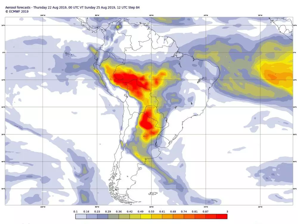 Tres cosas que debe saber sobre los incendios que arden en la selva amazónica