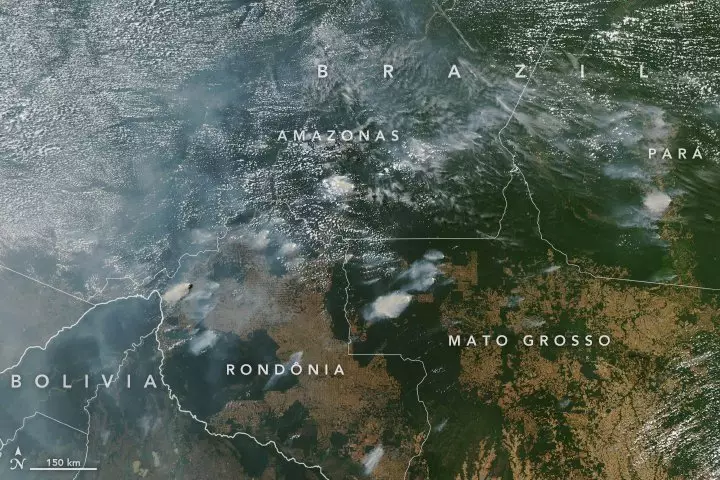 Tres cosas que debe saber sobre los incendios que arden en la selva amazónica