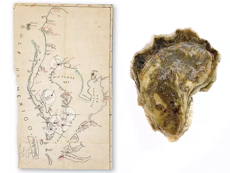 à esquerda, mapa da região de Tampa, e à direita, um caco de cerâmica