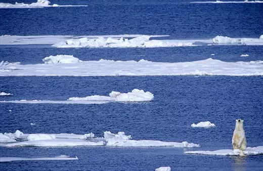 Шинжлэх ухааны хамгийн сэтгэл түгшээсэн арван нээлт 21286_3