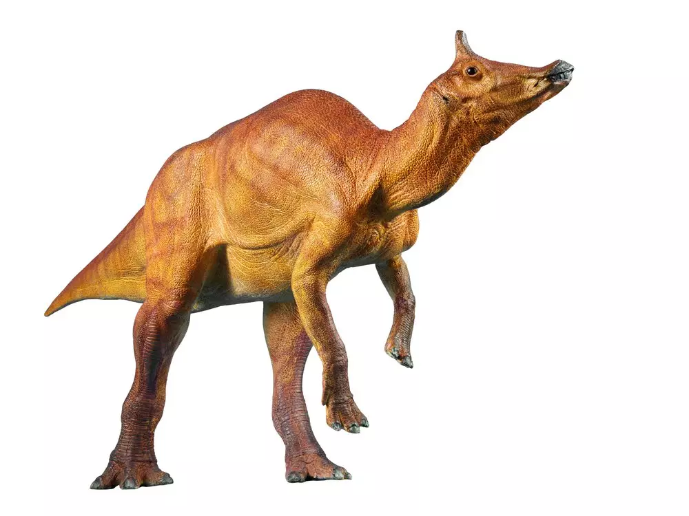 CA州の恐竜