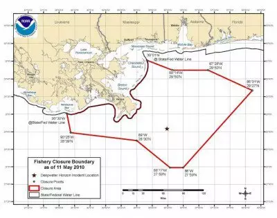 Ce înseamnă scurgerea de petrol pentru fructele de mare?