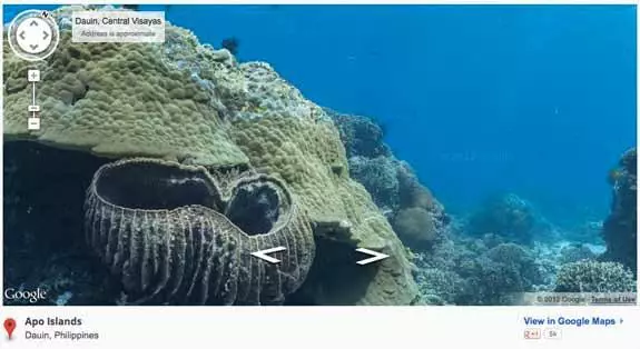 Google apporte Street View à la Grande Barrière de Corail