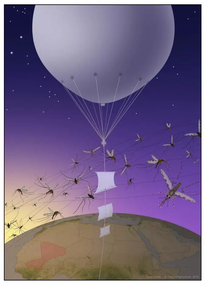 A white balloon above the Earth with mosquitoes flying around it.