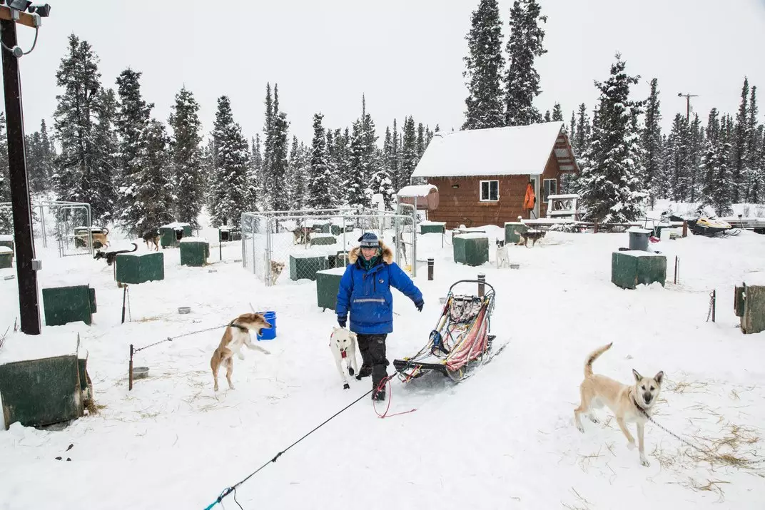 දෙවතාවක් Iditarod ධාවකයෙක් Dogsledding සමඟ ආදරයෙන් බැඳුණු ආකාරය 21578_4